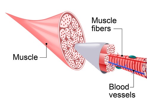 Physical Therapy - MFR Yoga